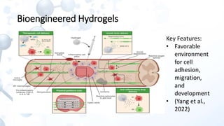 Bioengineered Hydrogels with Tunable Stiffness for Modulating Stem Cell ...