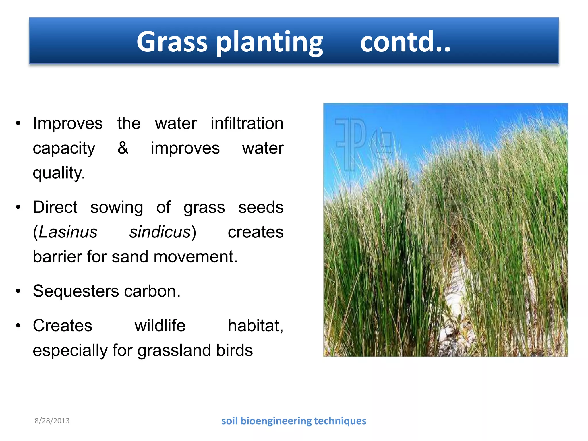 Bio-engineering measures for soil erosion control | PPTX