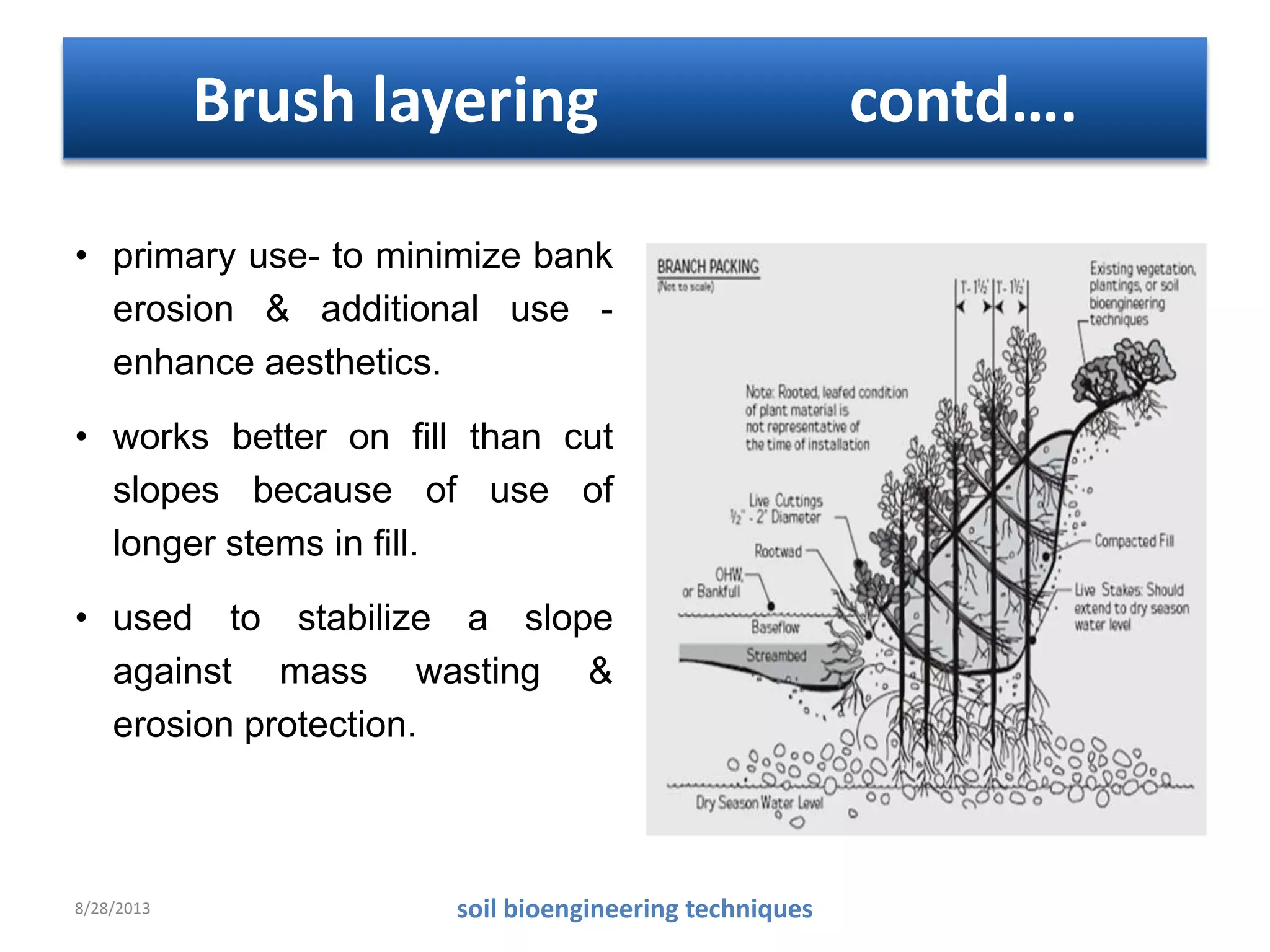 Bio-engineering measures for soil erosion control | PPTX
