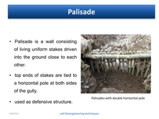 Bio-engineering measures for soil erosion control | PPTX