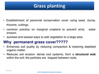 Bio-engineering measures for soil erosion control | PPTX