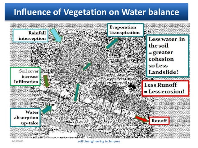 Bio-engineering measures for soil erosion control | PPTX | Agriculture ...