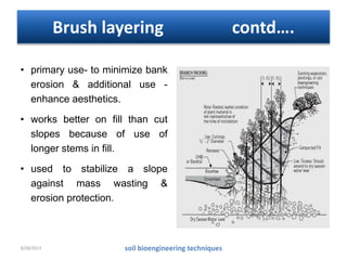 Bio-engineering measures for soil erosion control | PPTX