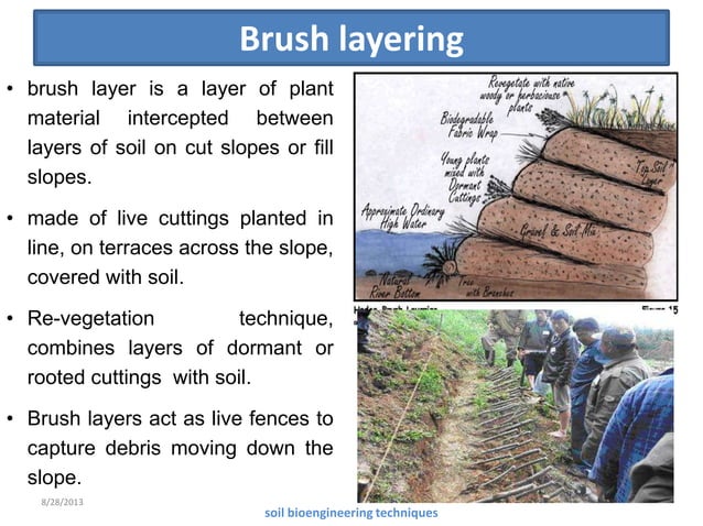 Bio engineering Measures For Soil Erosion Control bio-engineering-measures-for-soil-erosion-control