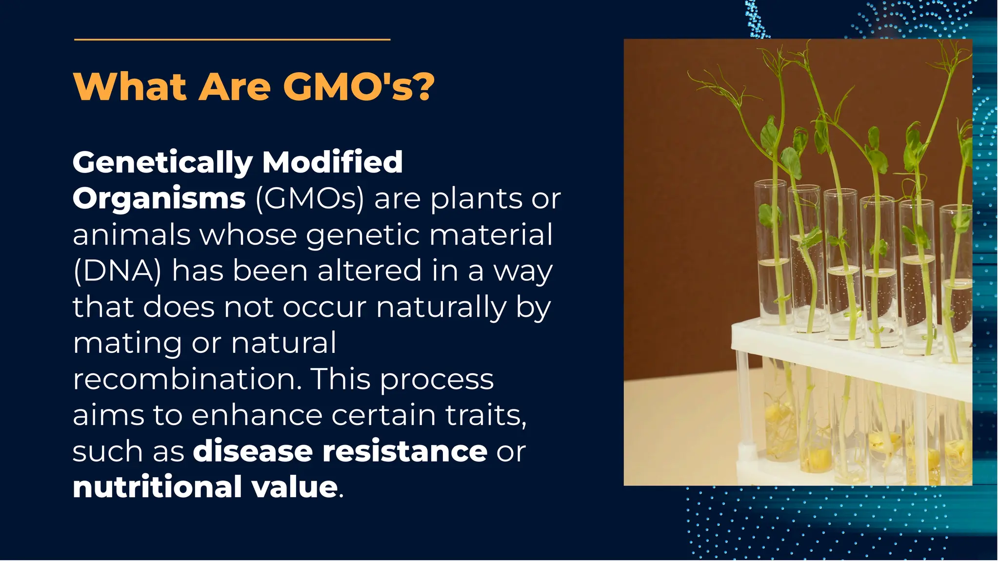 BIOENGINEERING: Genetically Modified Organisms | PDF