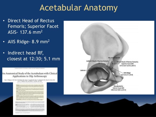 Bioengineering Hip Research Improving Patient Outcomes