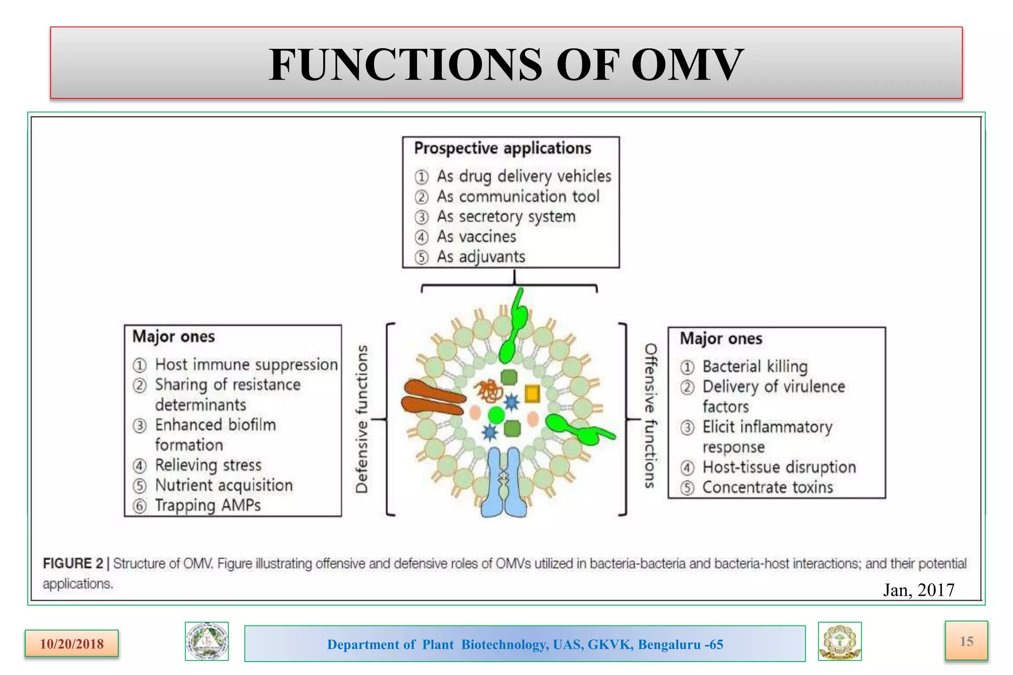 Bioengineering bacterial outer membrane vesicles as vaccine platform | PPTX