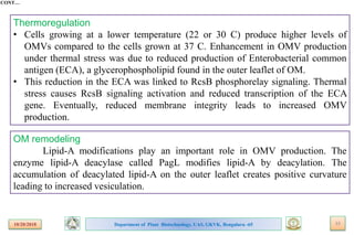 Bioengineering bacterial outer membrane vesicles as vaccine platform | PPTX