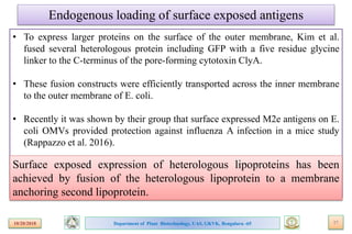 Bioengineering bacterial outer membrane vesicles as vaccine platform | PPTX