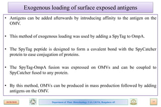 Bioengineering bacterial outer membrane vesicles as vaccine platform | PPTX