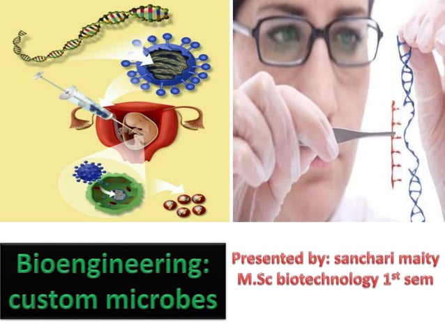 Bioengineering custom microbes, genetic engineering,bioremediation ...