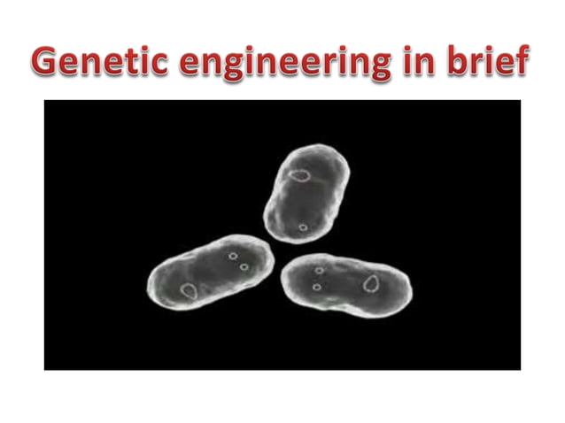 Bioengineering custom microbes, genetic engineering,bioremediation ...