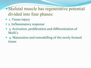 Bioengineering Human skeletal muscle.pptx