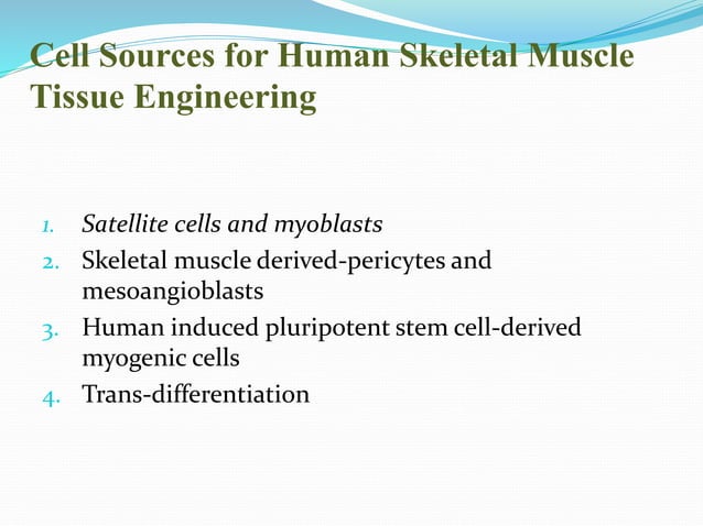Bioengineering Human skeletal muscle.pptx