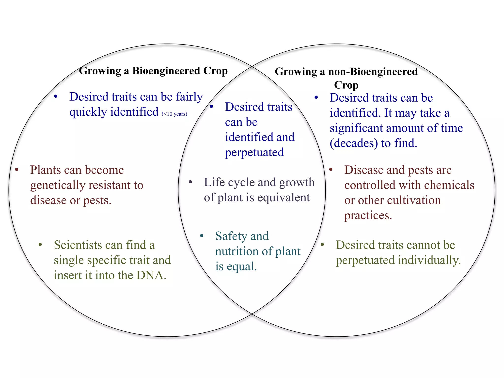 Bioengineering_PowerPoint (1).pptx