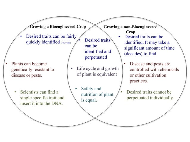 Bioengineering_PowerPoint (1).pptx