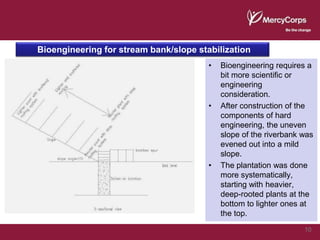 Bioengineering srsd rota | PPTX