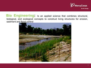 Bioengineering srsd rota | PPTX