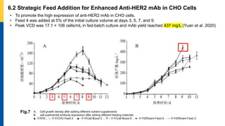 Bioengineering theory presentation 2.pptx