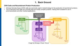 Bioengineering theory presentation 2.pptx