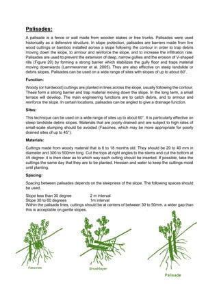 Bio engineering tips | PDF