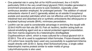 Bioenrichment in rotifers4 | PPTX