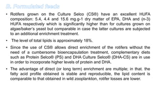 Bioenrichment in rotifers4 | PPTX