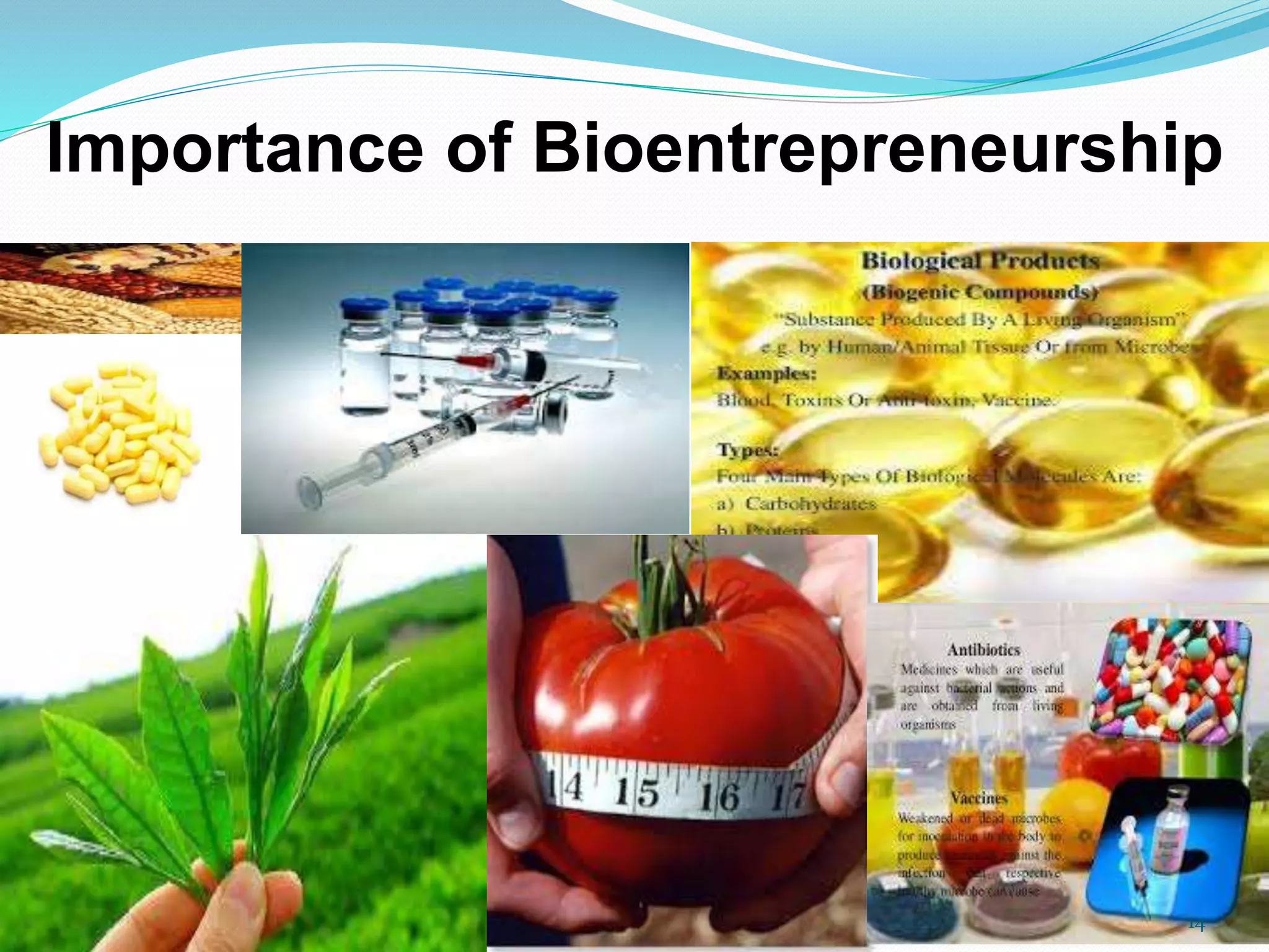 Bioentrepreneurship | PPTX