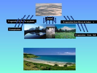 Bioenvironmental | PPT