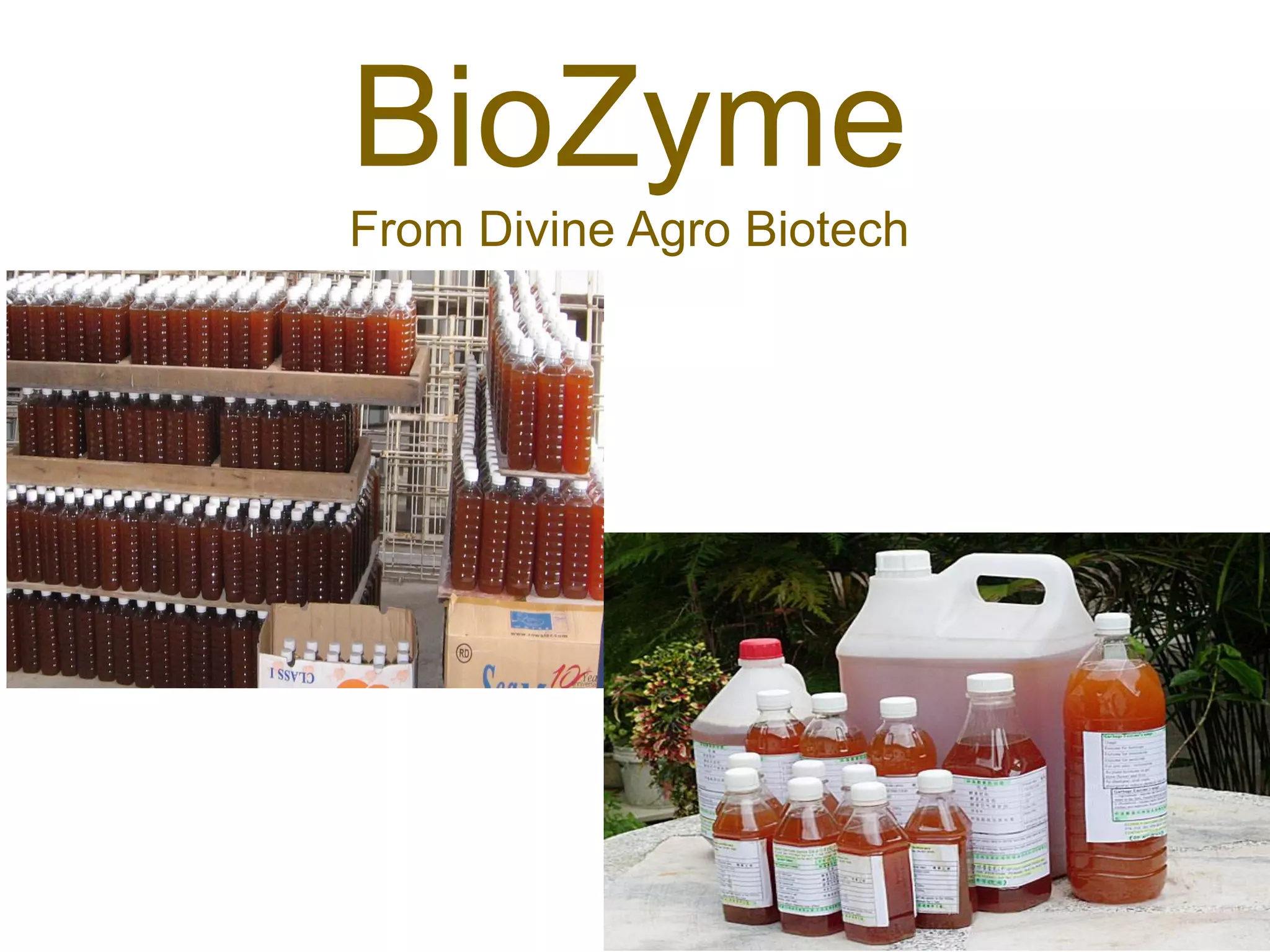 Bioenzyme | PDF