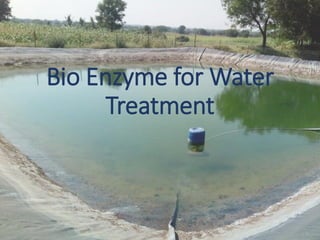 Bioenzyme | PDF