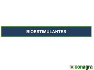 Bioestimulantes, micronutrientes.pptx