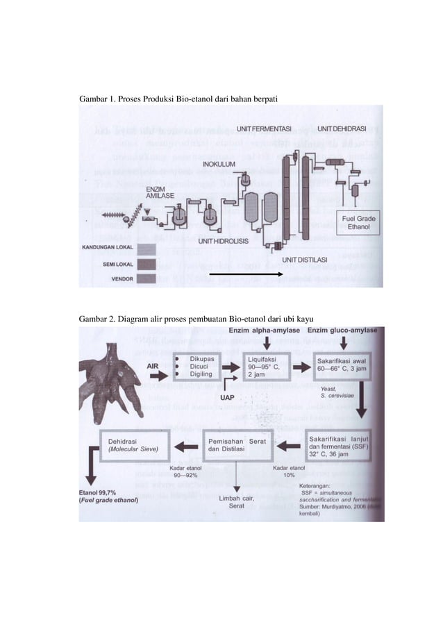 Bioethanol | PDF