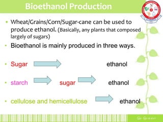 bioethanol production from sugarcane waste | PPTX