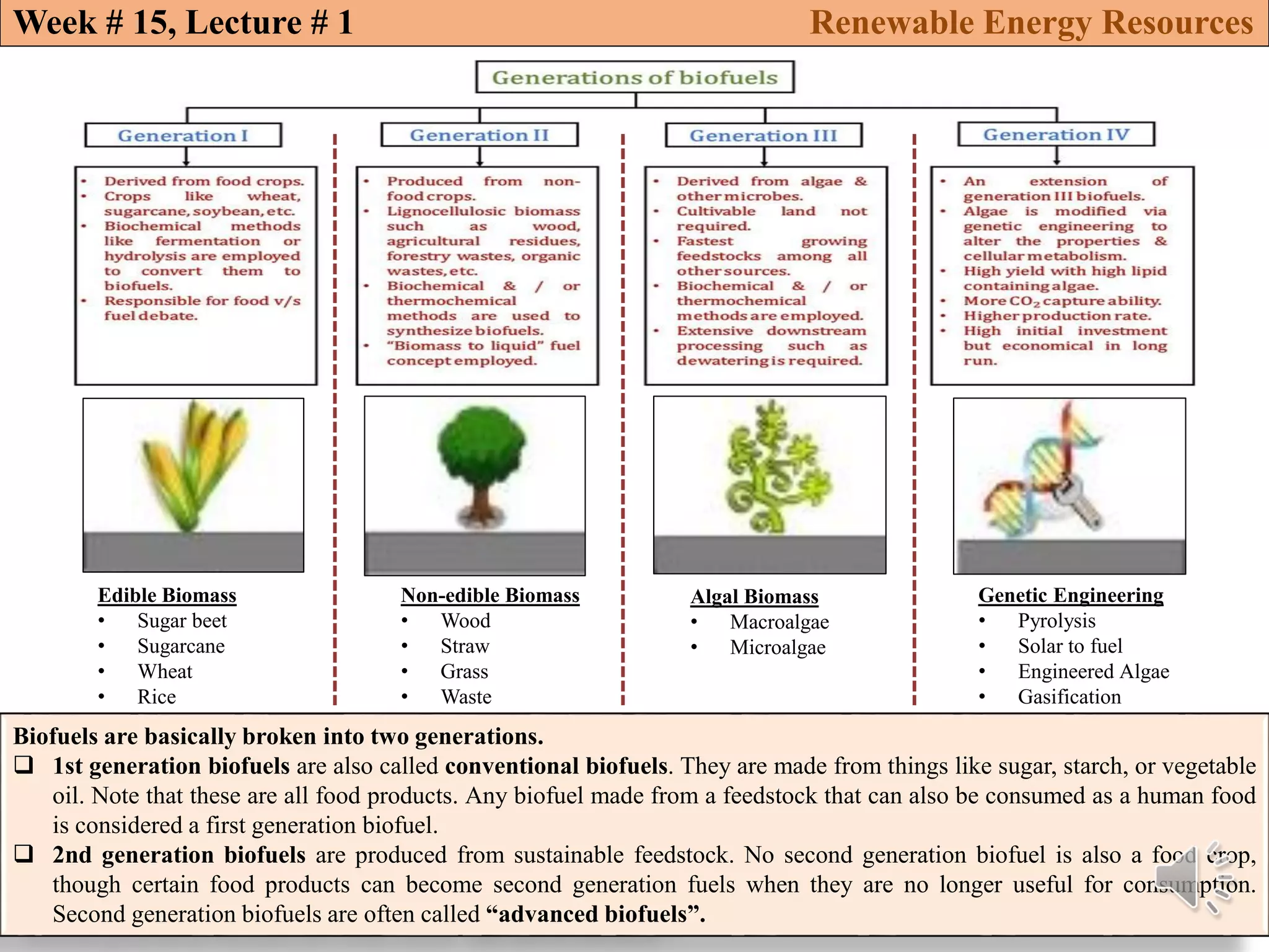 Bioethanol biofuel renewable energy resources | PDF