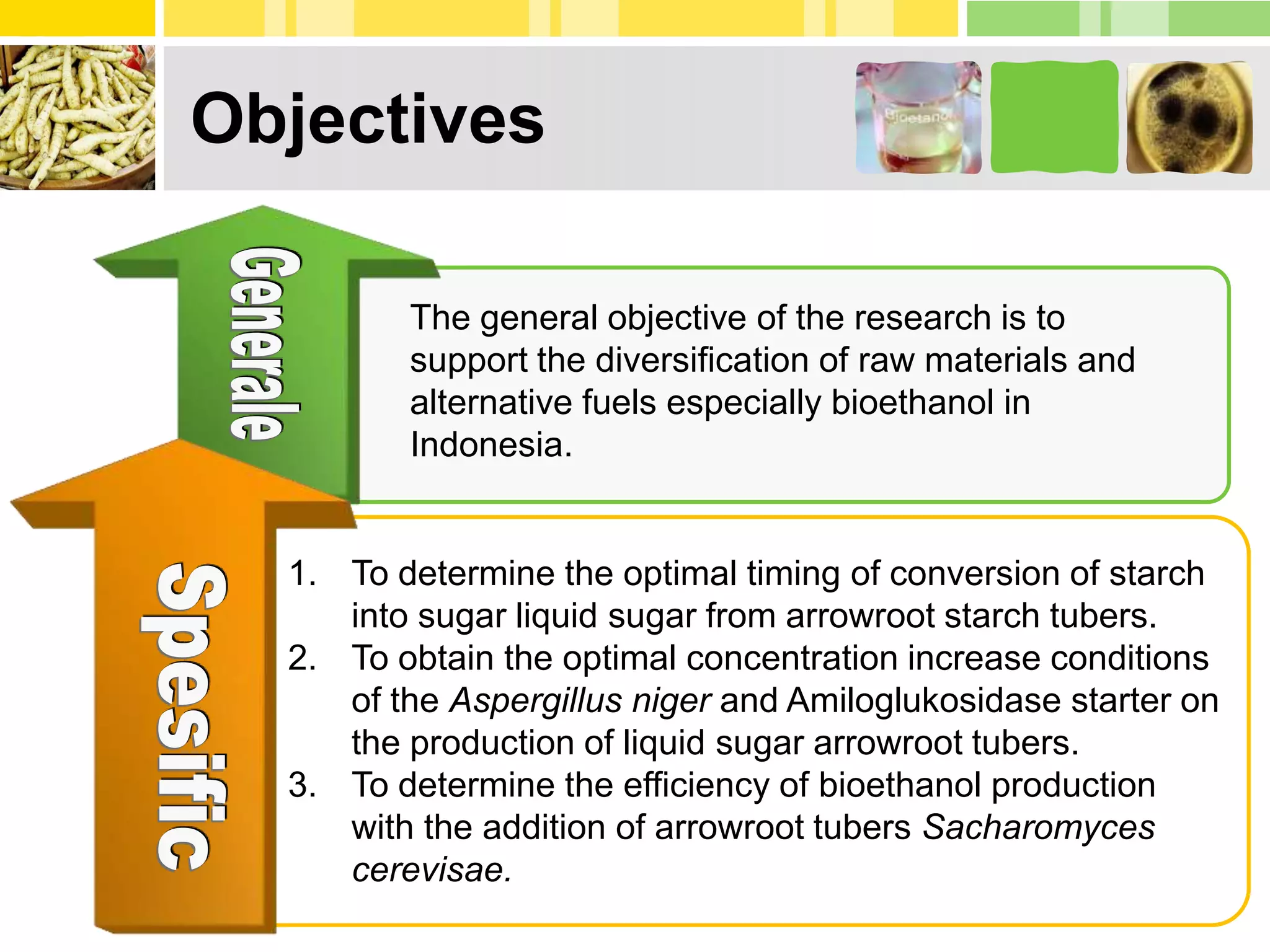 Bioethanol from indonesia's arrowroot tuber | PPTX