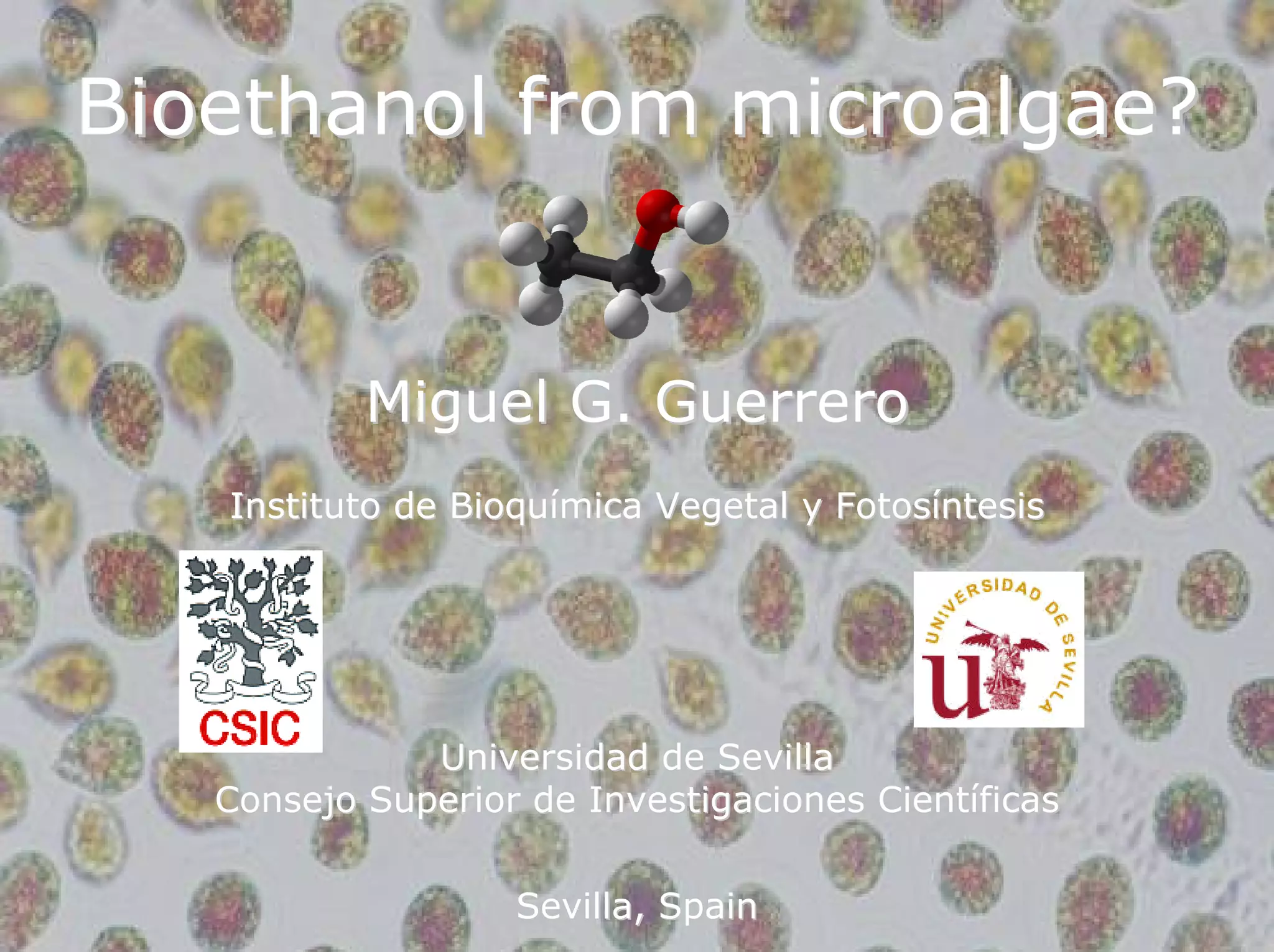 Bioethanol from microalgae | PDF