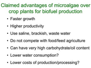 Bioethanol from microalgae | PDF