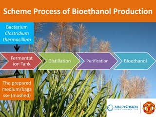 Bioethanol from sugarcane waste (bagasse) using bacterium clostridium ...