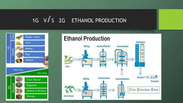 Bioethanol plant design | PPTX
