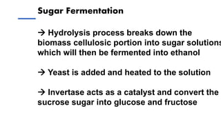 Bioethanol Production | PPTX