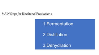 Bioethanol Production | PPTX