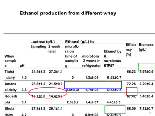 Bioethanol production from cheese whey.pptx