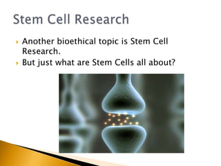 Bioethics | PPTX