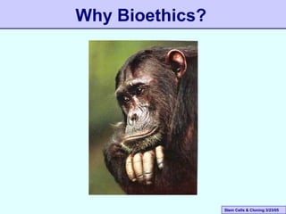 Bioethics, Stem Cells & Cloning | PPT