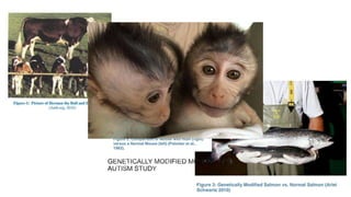 Bioethics associated with transgenic animals.pptx