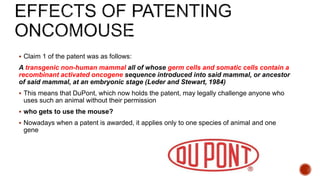 Bioethics associated with transgenic animals.pptx