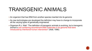 Bioethics associated with transgenic animals.pptx