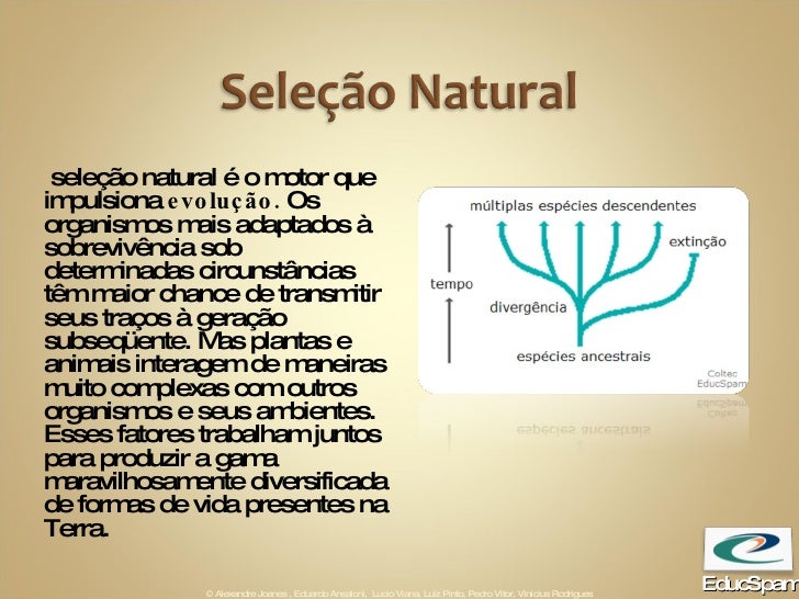 Educspam Evolucao E Selecao Natural