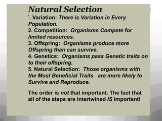 Bio evolution | PPTX